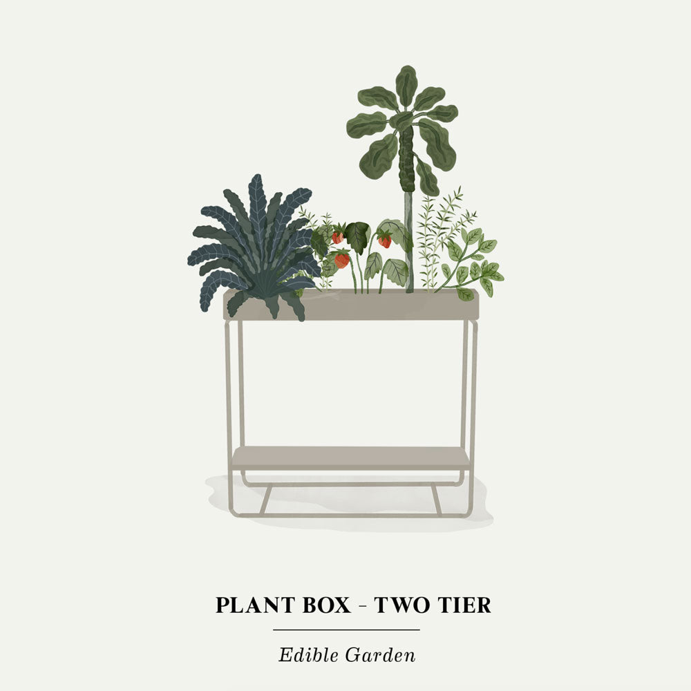 How To Plant Your Plant Box Garden – Insidestore